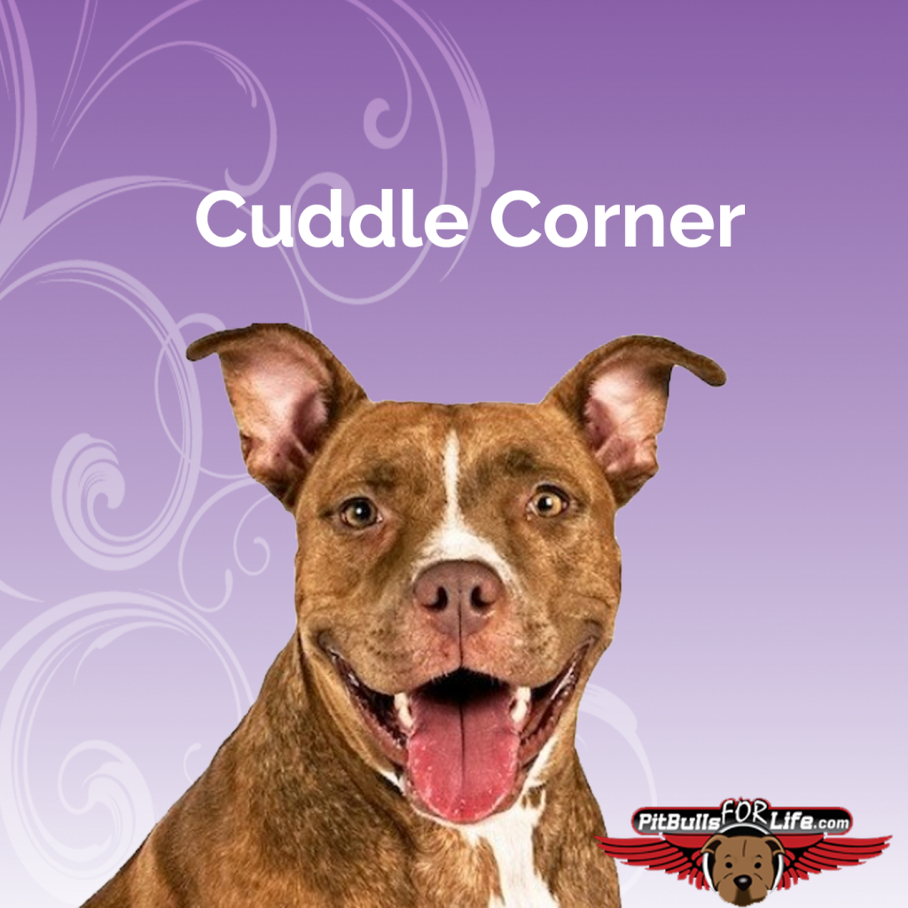 Cuddle Corner - Edmonton Woman's Show
